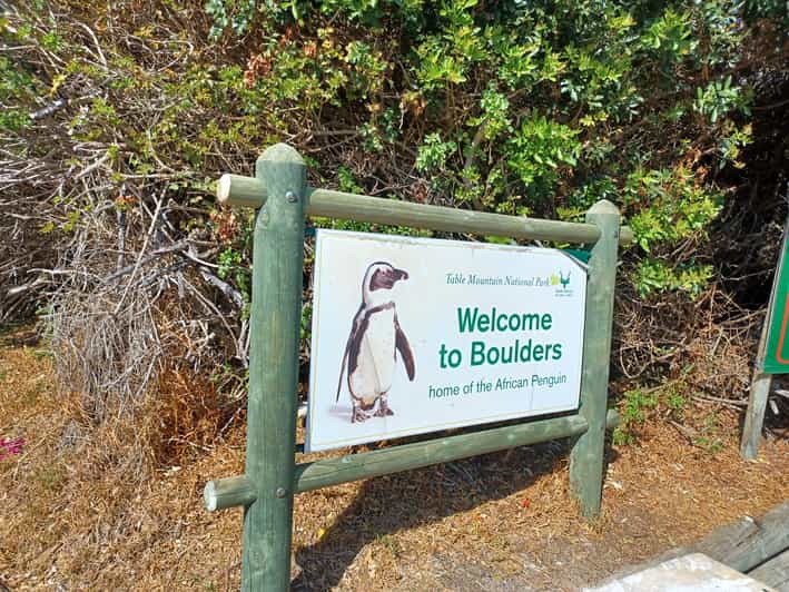 Ab Kapstadt: Geführte private Tour zum Kap der Guten Hoffnung | GetYourGuide