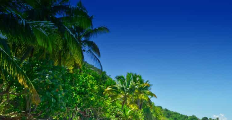 The BEST Kittian Village Tours and Things to Do in 2023 - FREE ...