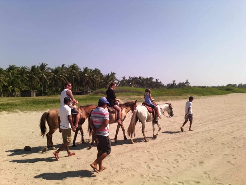 Acapulco: Gentle Beach Horse Riding Tour on Barra Vieja | GetYourGuide