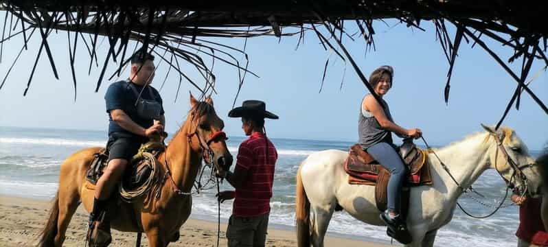 Acapulco: Gentle Beach Horse Riding Tour on Barra Vieja | GetYourGuide