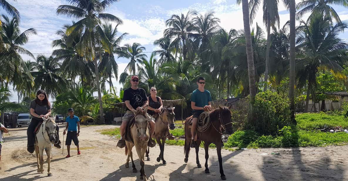 Acapulco: Gentle Beach Horse Riding Tour on Barra Vieja | GetYourGuide