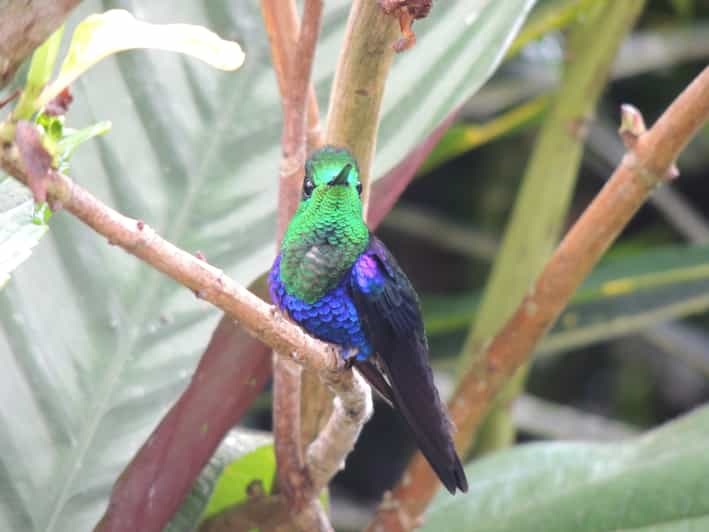 Quito: Equator Line and Hidden Gems Tour with Beer Tasting | GetYourGuide