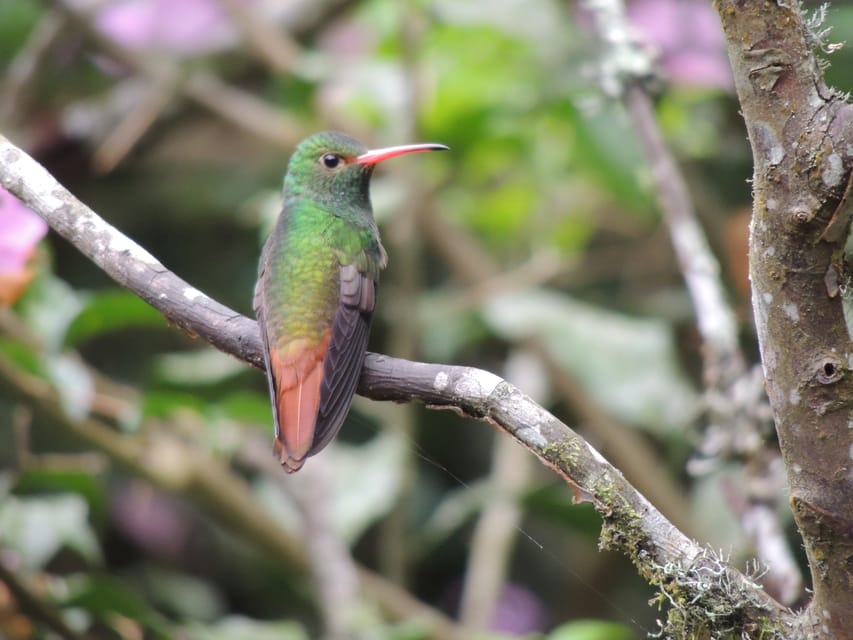 Quito: Equator Line and Hidden Gems Tour with Beer Tasting | GetYourGuide