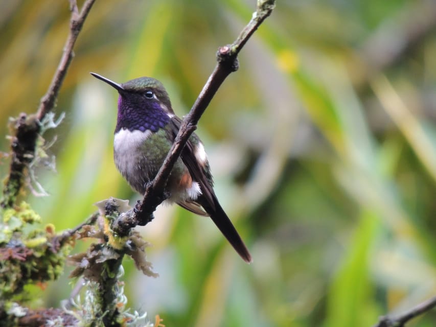 Quito: Equator Line and Hidden Gems Tour with Beer Tasting | GetYourGuide