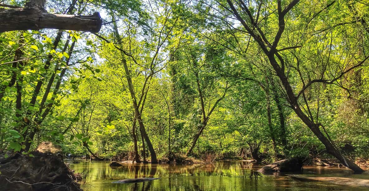 Richmond: Caminata guiada en el Parque James River | GetYourGuide