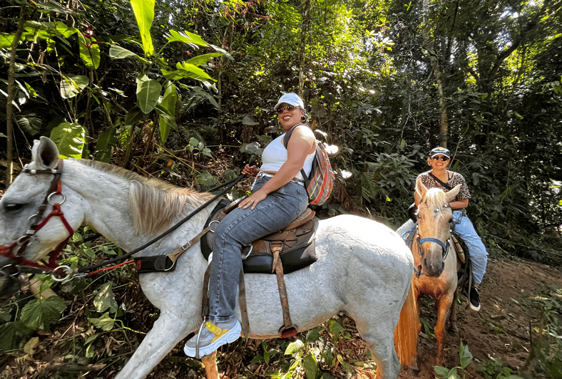 Paraty: 3-Hour Rainforest Horseback Ride | GetYourGuide