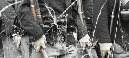 Gettysburg: Horse-Drawn Carriage Battlefield Tour | GetYourGuide