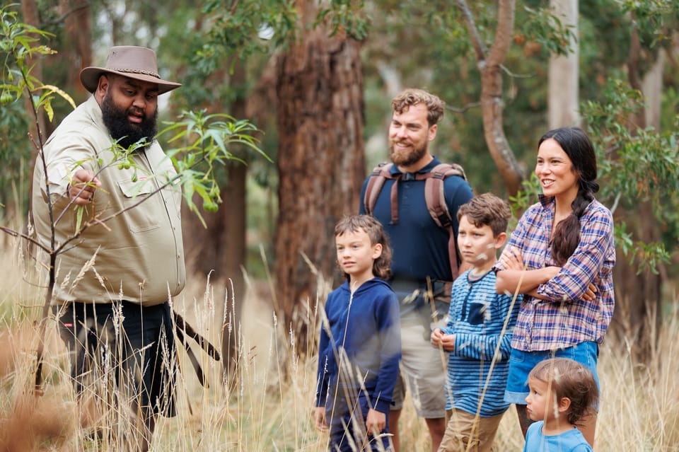 Budj Bim: Tungatt Mirring Half Day Gunditjmara Tour | GetYourGuide