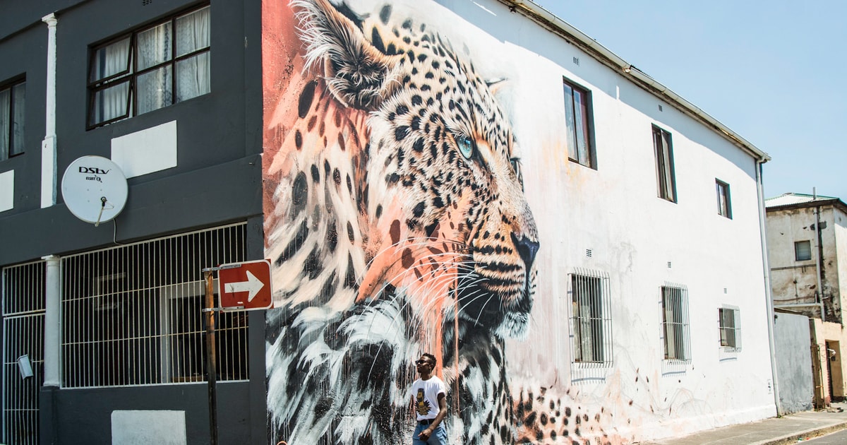 Cape Town: Street Art Walking Tour | GetYourGuide