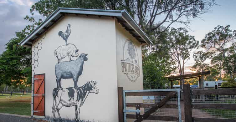 Bundaberg: Splitters Farm Private Guided Tour | GetYourGuide