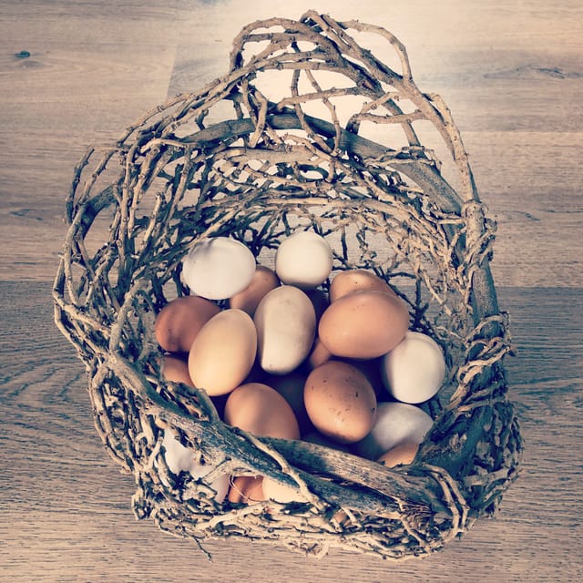 Bundaberg: Splitters Farm Private Guided Tour | GetYourGuide