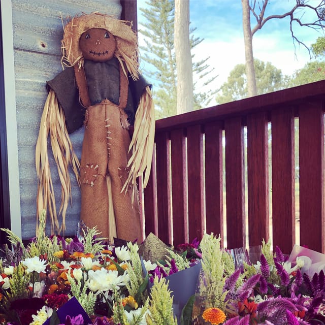 Bundaberg: Splitters Farm Private Guided Tour | GetYourGuide