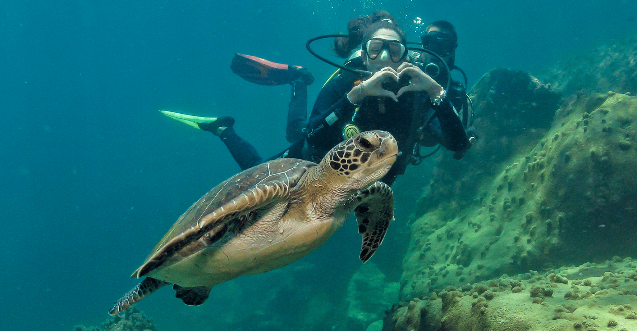 Paraty, Discovery Scuba Diving Experience for Beginners | Water ...