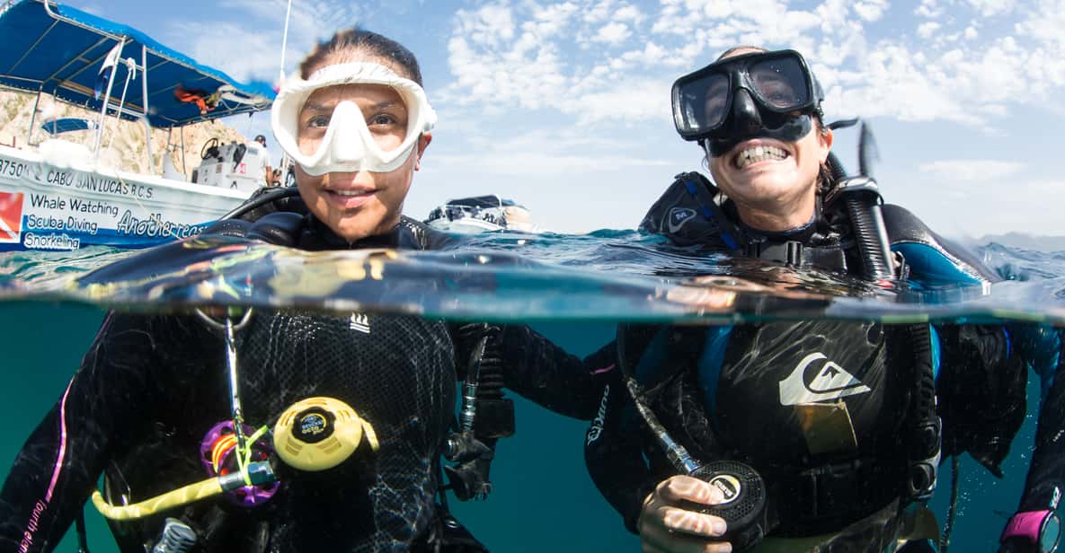 Cabo San Lucas Marine Park Scuba Diving | GetYourGuide