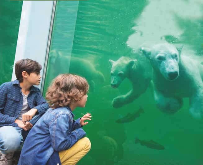 Rhenen: Ouwehands Zoo Entry Ticket | GetYourGuide