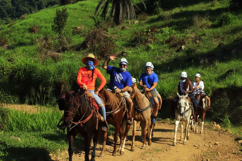 Puerto Vallarta: Horseback Ride Followed by Tequila Tasting | GetYourGuide