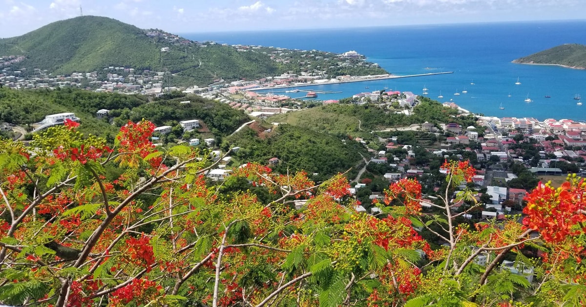 St Thomas: Skyline Drive Gözlem Noktası ve Sahil Atlamalı Tur ...