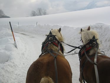 From Salzburg: Romantic Sleigh Ride through the Countryside | GetYourGuide