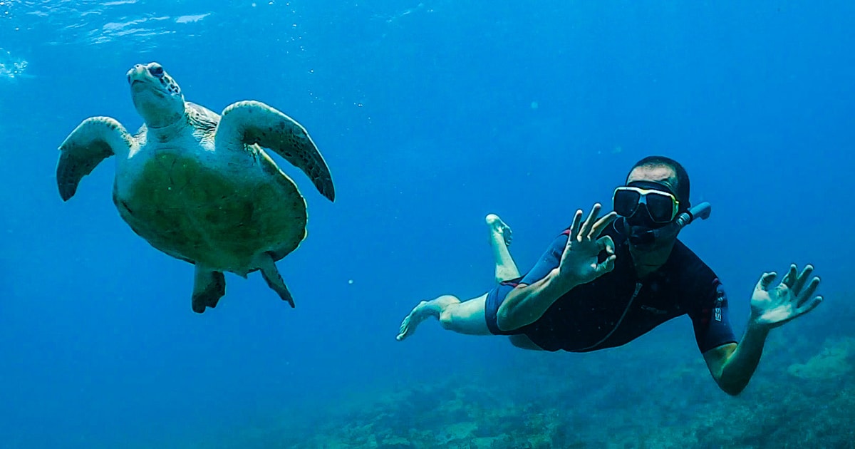 Santa Maria: Guided Snorkeling Shipwreck and Reef Tour | GetYourGuide