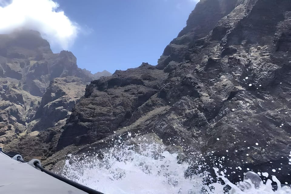 Puerto Colon: Delfin- und Whale-Watching-Bootsfahrt mit Stopp in Masca ...