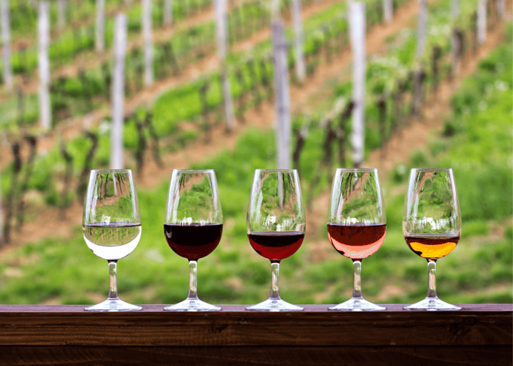 From Austin: Half-Day Hill Country Wine Shuttle | GetYourGuide