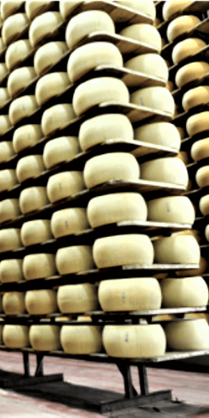 Parma: Parmigiano Production and Parma Ham Tour & Tasting | GetYourGuide