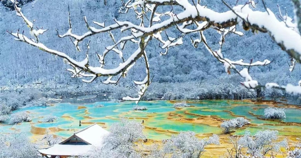 Chengdu: 2-Day Jiuzhai & Huanglong Bullet Train Private Tour | GetYourGuide