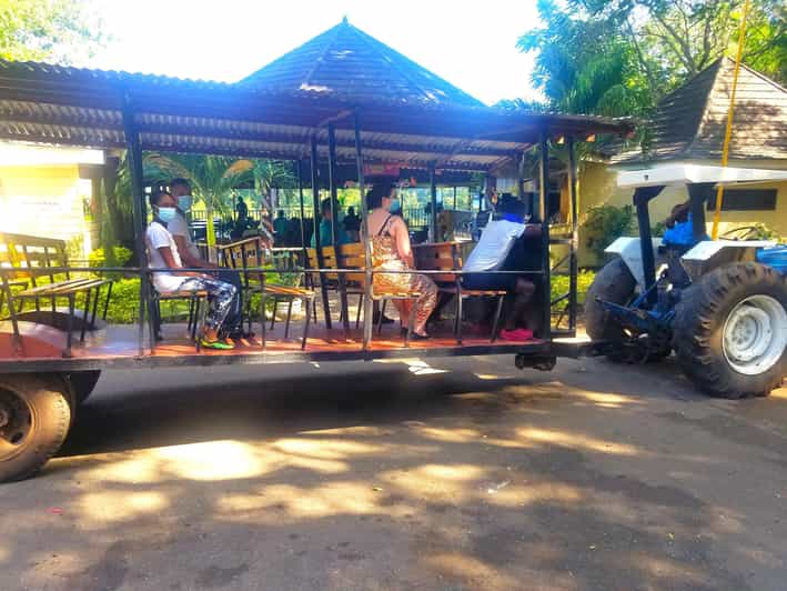 From Ocho Rios: Flavors of Jamaica Guided Food Tour | GetYourGuide