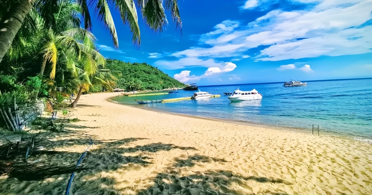 Cham Inseln & Korbboot & Hoi An Antike Stadt Ganztägig | GetYourGuide