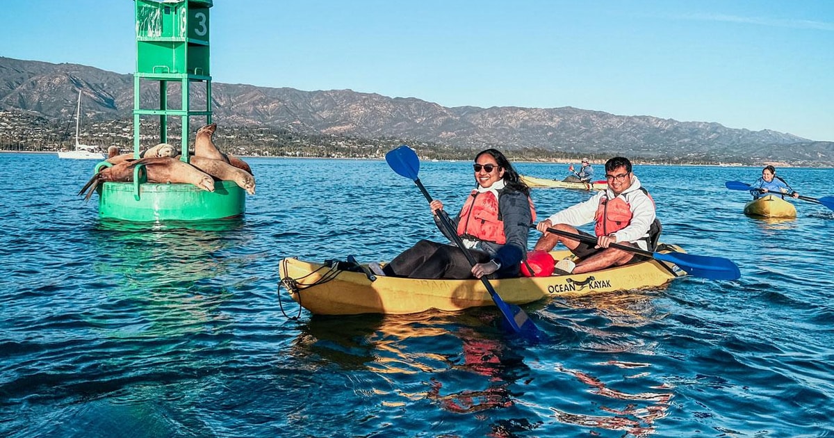 Santa Barbara: Guided Kayak Tour | GetYourGuide
