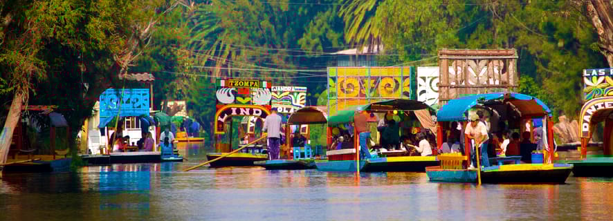 Xochimilco Ecological Park and Plant Market, Mexico City - Book Tickets ...