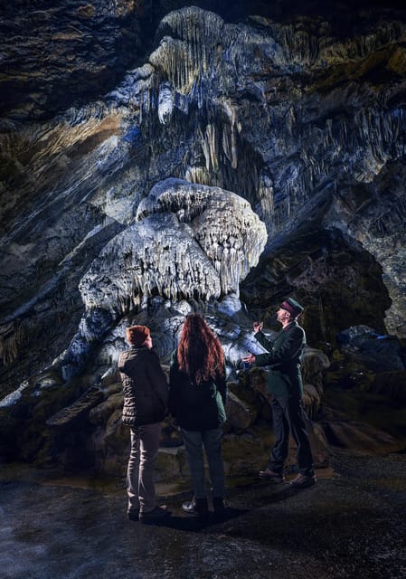 Ardennen: Toegangsbewijs Grotten van Han | GetYourGuide