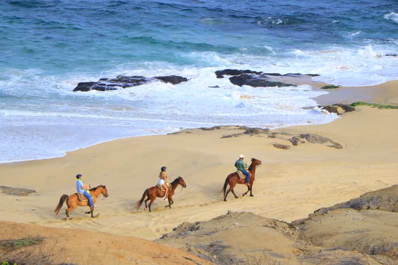 Los Cabos: Paseo a Caballo por la Playa del Pacífico y el Desierto ...