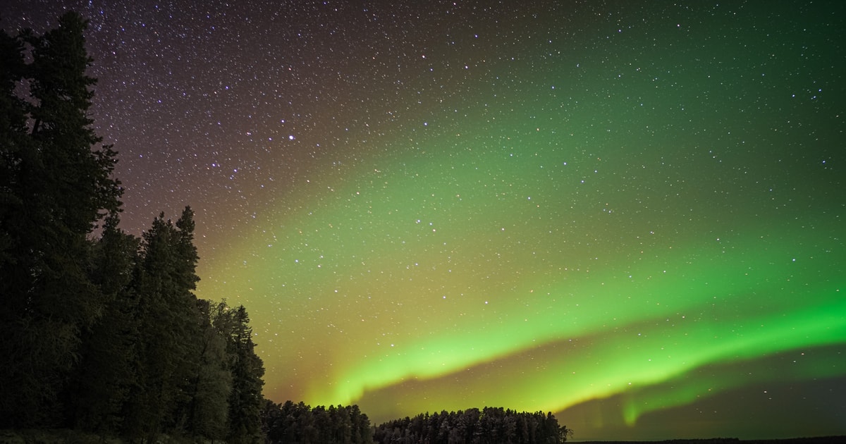 Rovaniemi: Night Sky lappish Barbecue | GetYourGuide