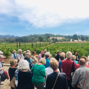 Valencia: Orange Farm and Orchard Trip with Tastings | GetYourGuide