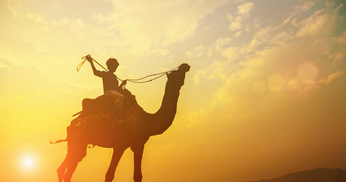 Taghazout: Moroccan Barbecue and Camel Ride Tour | GetYourGuide