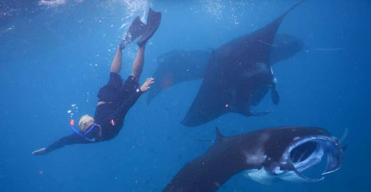 Manta-tur i Nusa Lembongan og Nusa Penida | GetYourGuide