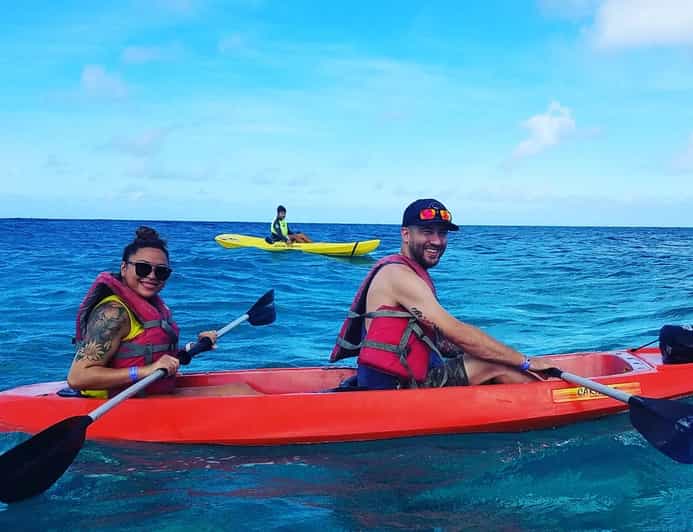 Aruba: Clear-Bottom Mangrove Forest Kayak Boat Tour | GetYourGuide