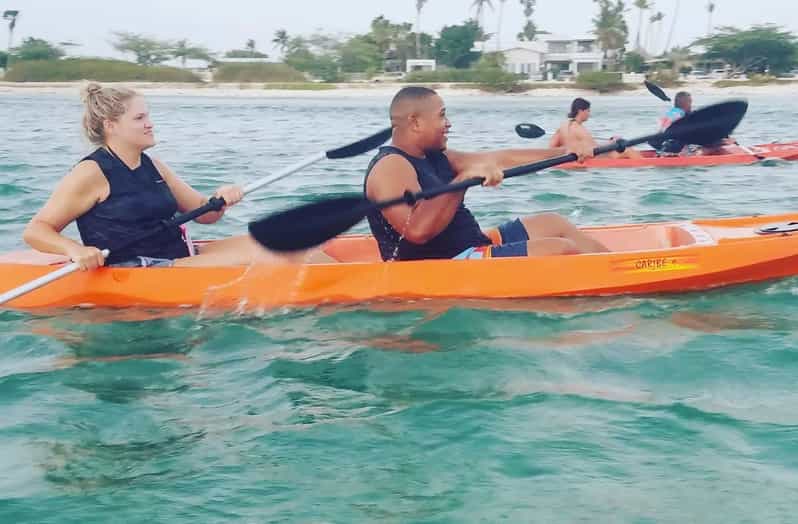 Aruba: Clear-Bottom Mangrove Forest Kayak Boat Tour | GetYourGuide