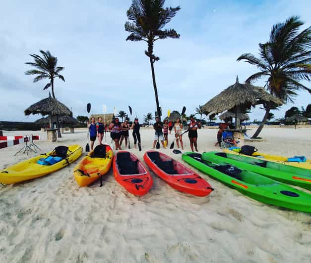Aruba: Excursión en kayak por el bosque de manglares de fondo ...