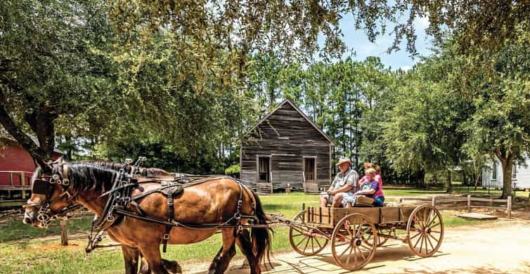 The BEST Alabama Tours and Things to Do in 2022 - FREE Cancellation ...
