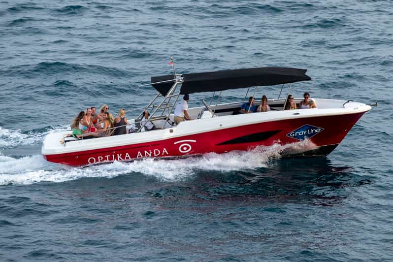 Split or Trogir: Blue Cave, Vis, and Hvar Speedboat Day Trip | GetYourGuide