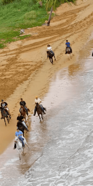 Carabalí Rainforest Park: Beach Horseback Riding | GetYourGuide
