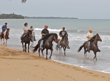 Carabalí Rainforest Park: Beach Horseback Riding | GetYourGuide