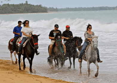 Carabalí Rainforest Park: Beach Horseback Riding | GetYourGuide