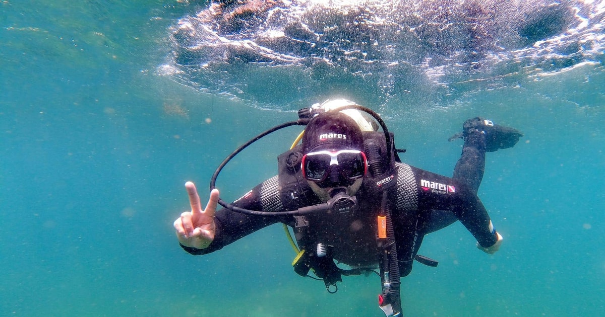 Arrábida: Marine Park Try Scuba Diving Experience | GetYourGuide