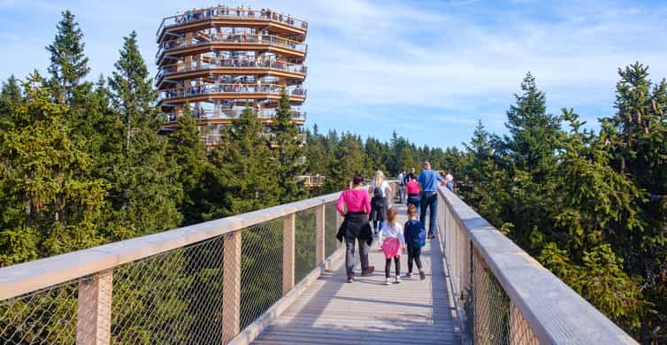 From Krakow: Slovakia Treetop Walk Bachledka Private Tour | GetYourGuide