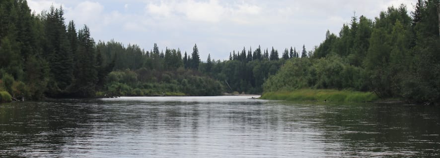 Chena River, Fairbanks - Book Tickets & Tours | GetYourGuide