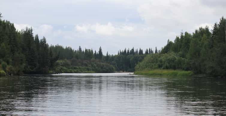 Chena River, Fairbanks - Book Tickets & Tours | GetYourGuide