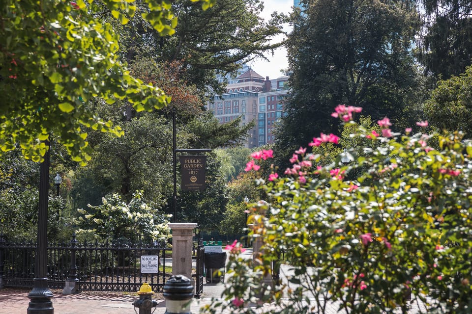 Boston: Back Bay History and Culture Private Walking Tour | GetYourGuide